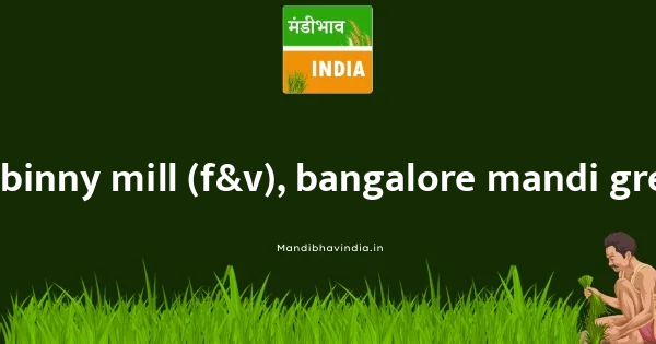 Green Avare(W) Price Today in Binny Mill (F&V), Bangalore Mandi ...