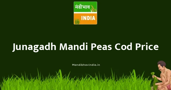 Peas Cod Price Today in Junagadh Mandi - Latest Rate | Gujarat