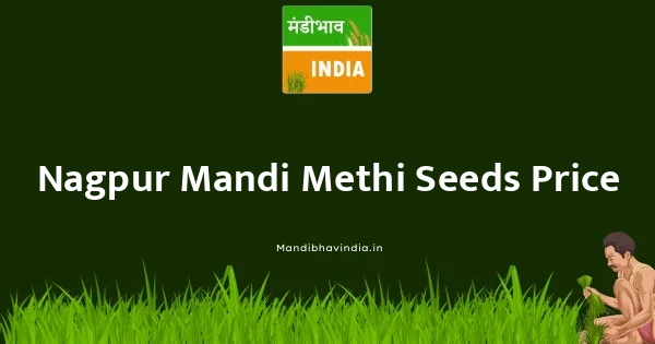 Methi Seeds Price Today in Nagpur Mandi - Latest Rate | Maharashtra