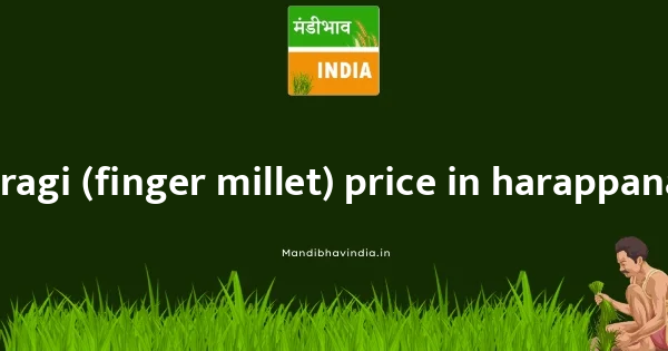 Ragi (Finger Millet) Market Price Today in Harappana Halli